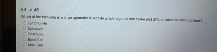 Solved 36 of 45 Which of the following is a large agranular | Chegg.com