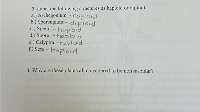Solved 3. Label the following structures as haploid or | Chegg.com