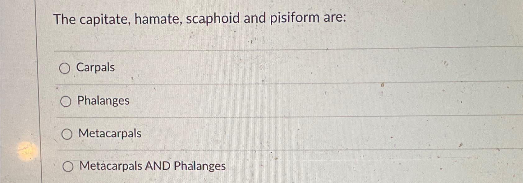 Solved The capitate, hamate, scaphoid and pisiform | Chegg.com