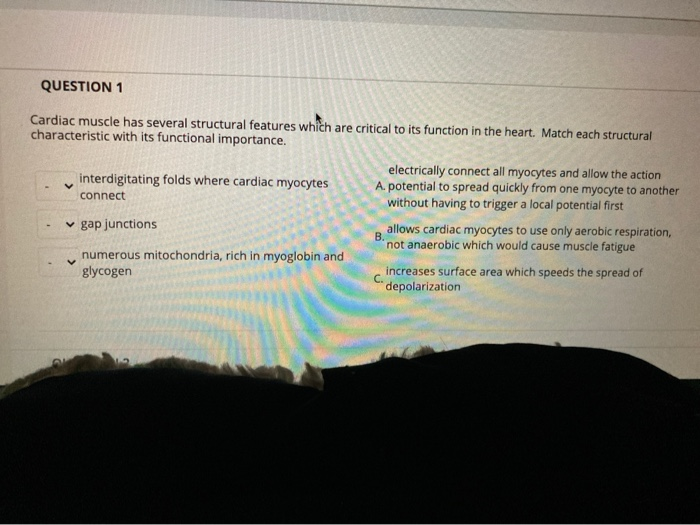Solved QUESTION 1 V Cardiac muscle has several structural | Chegg.com