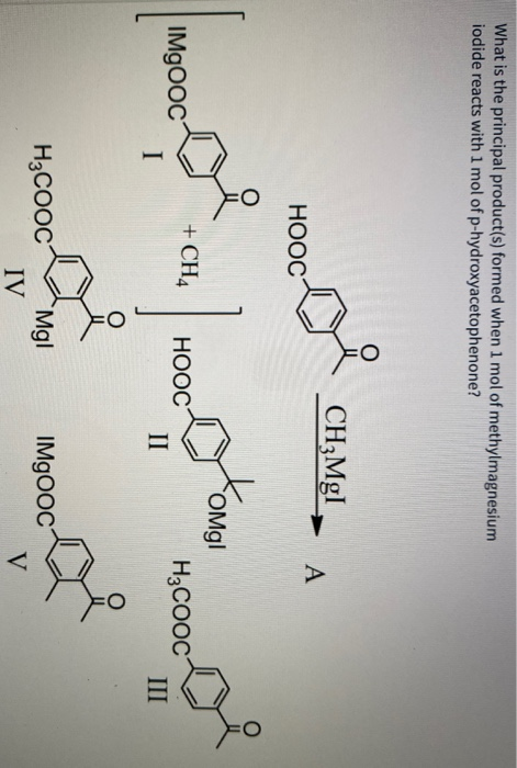 Solved What is the principal product(s) formed when 1 mol of | Chegg.com