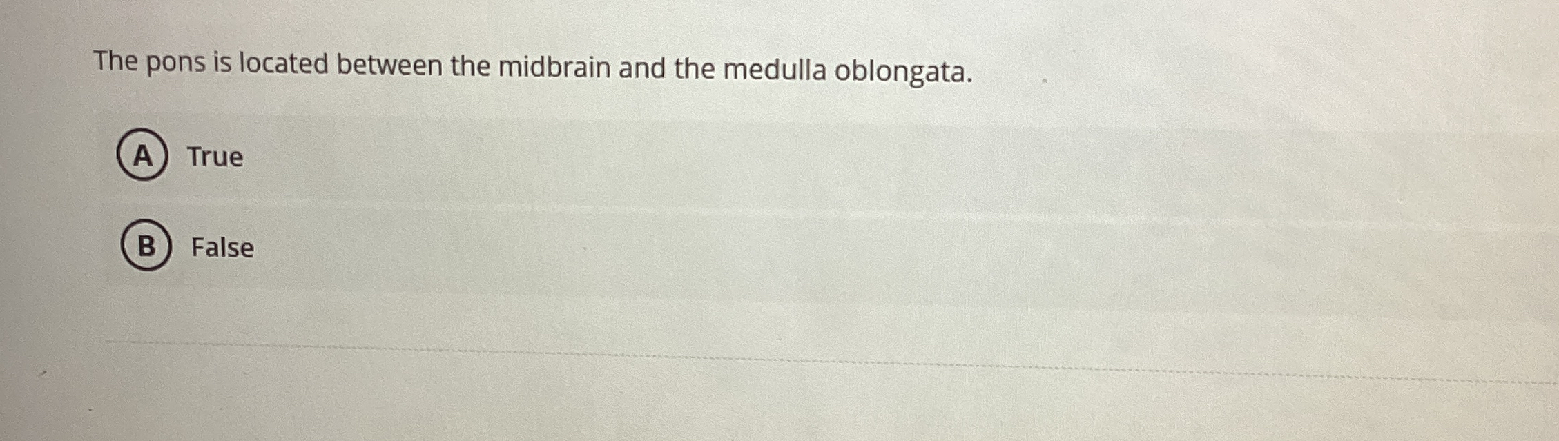 Solved The pons is located between the midbrain and the | Chegg.com