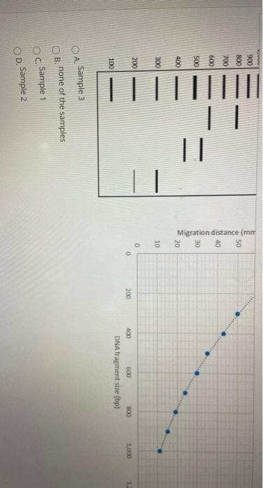 Solved Gel electrophoresis of three DNA samples was done and | Chegg.com Solved Gel electrophoresis of three DNA samples was done and | Chegg.com