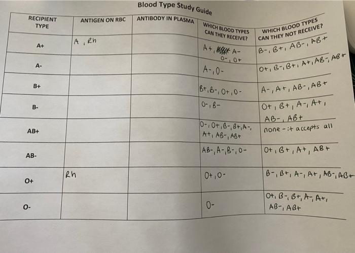 Solved Blood Type Study Guiad | Chegg.com