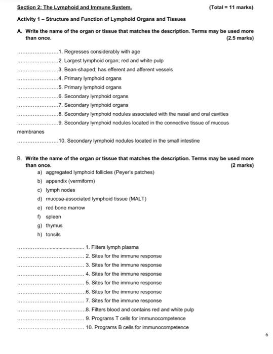 [Solved]: Activity 1 - Structure and Function of Lymphoid O