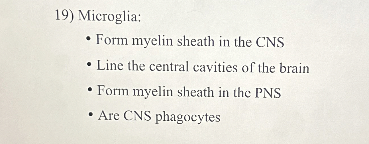 Solved Microglia:Form myelin sheath in the CNSLine the | Chegg.com