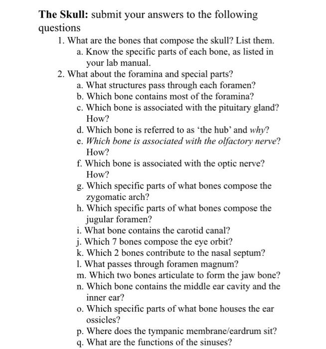 Solved The Skull: submit your answers to the following | Chegg.com
