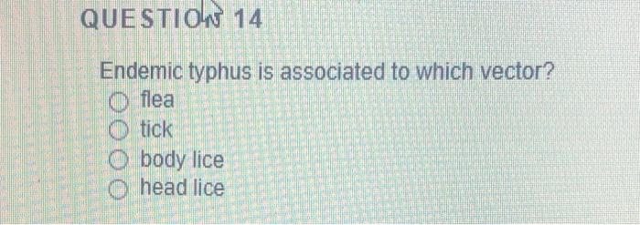 Solved QUESTION 14 Endemic typhus is associated to which | Chegg.com