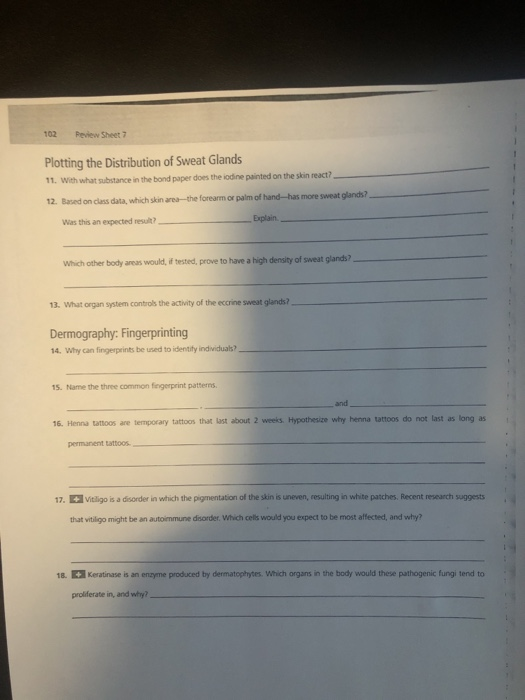 Solved 102 Review Sheet 7 Plotting the Distribution of Sweat | Chegg.com