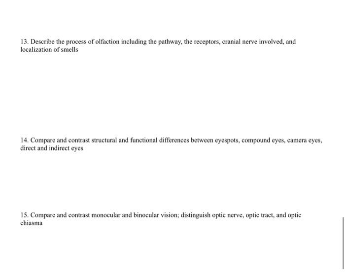 Solved 13. Describe the process of olfaction including the | Chegg.com