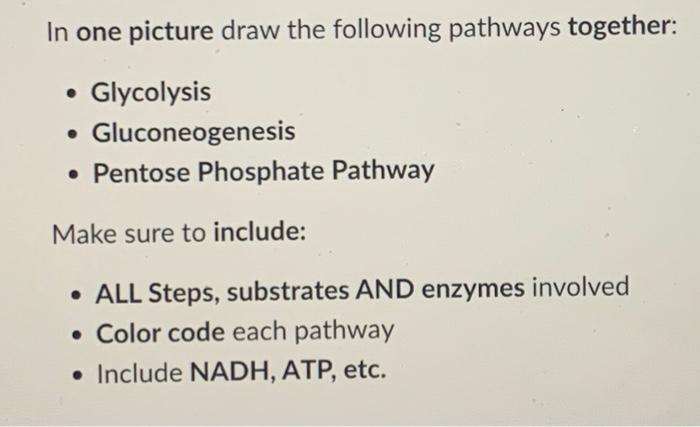 Solved In one picture draw the following pathways together: | Chegg.com