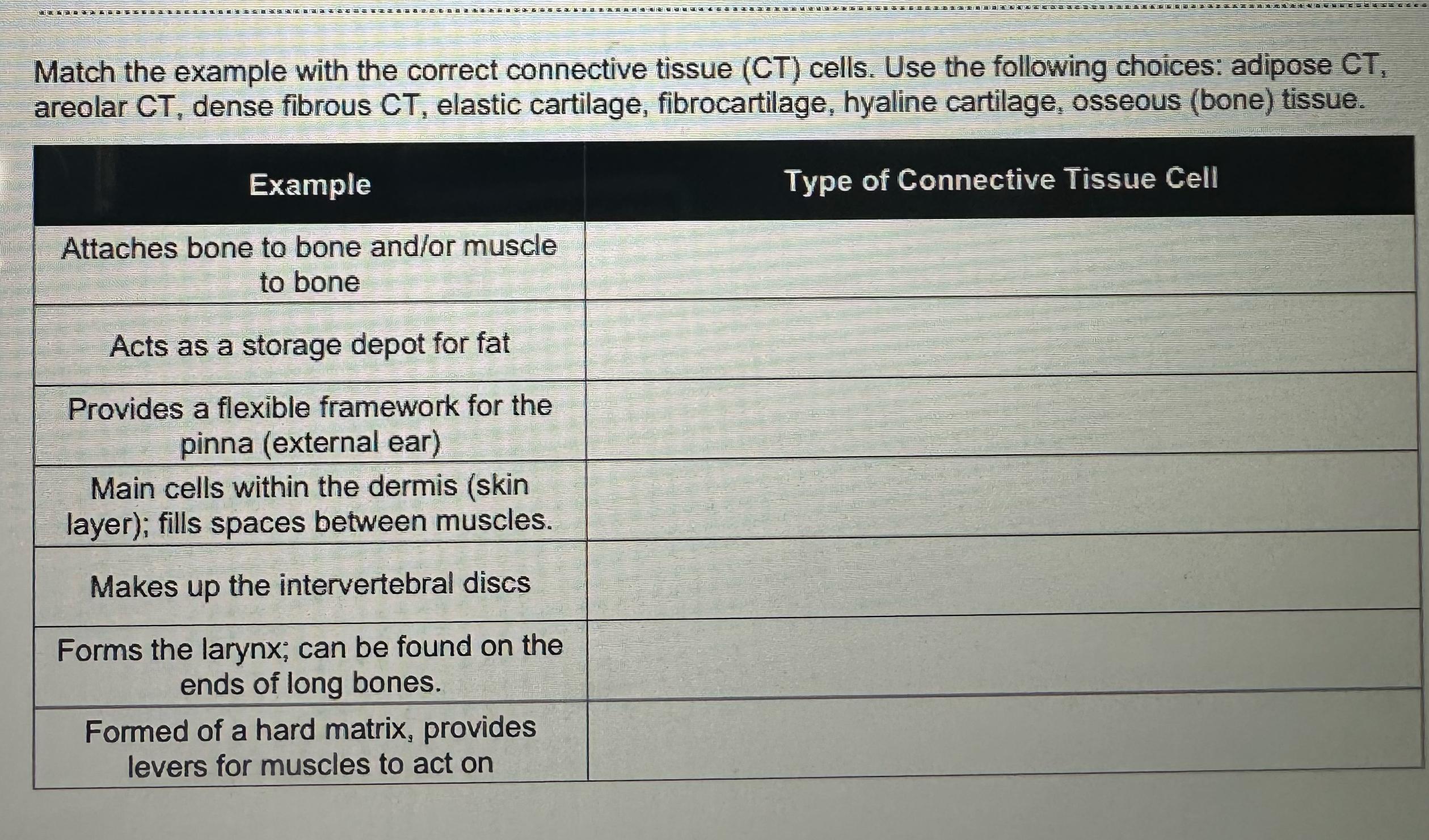 Solved Match the example with the correct connective tissue | Chegg.com