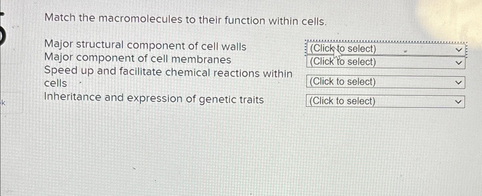 Solved Match the macromolecules to their function within | Chegg.com