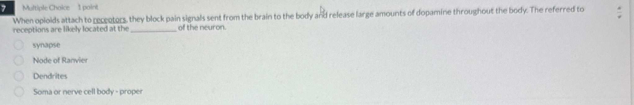 Solved 7 ﻿Multiple Choice 1 ﻿pointWhen opioids attach to | Chegg.com