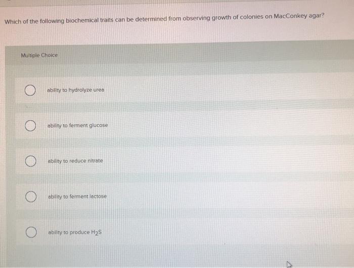 Solved Which of the following biochemical traits can be | Chegg.com