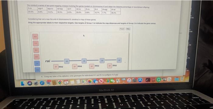 Solved Part A You conduct a series of two-point mapping | Chegg.com