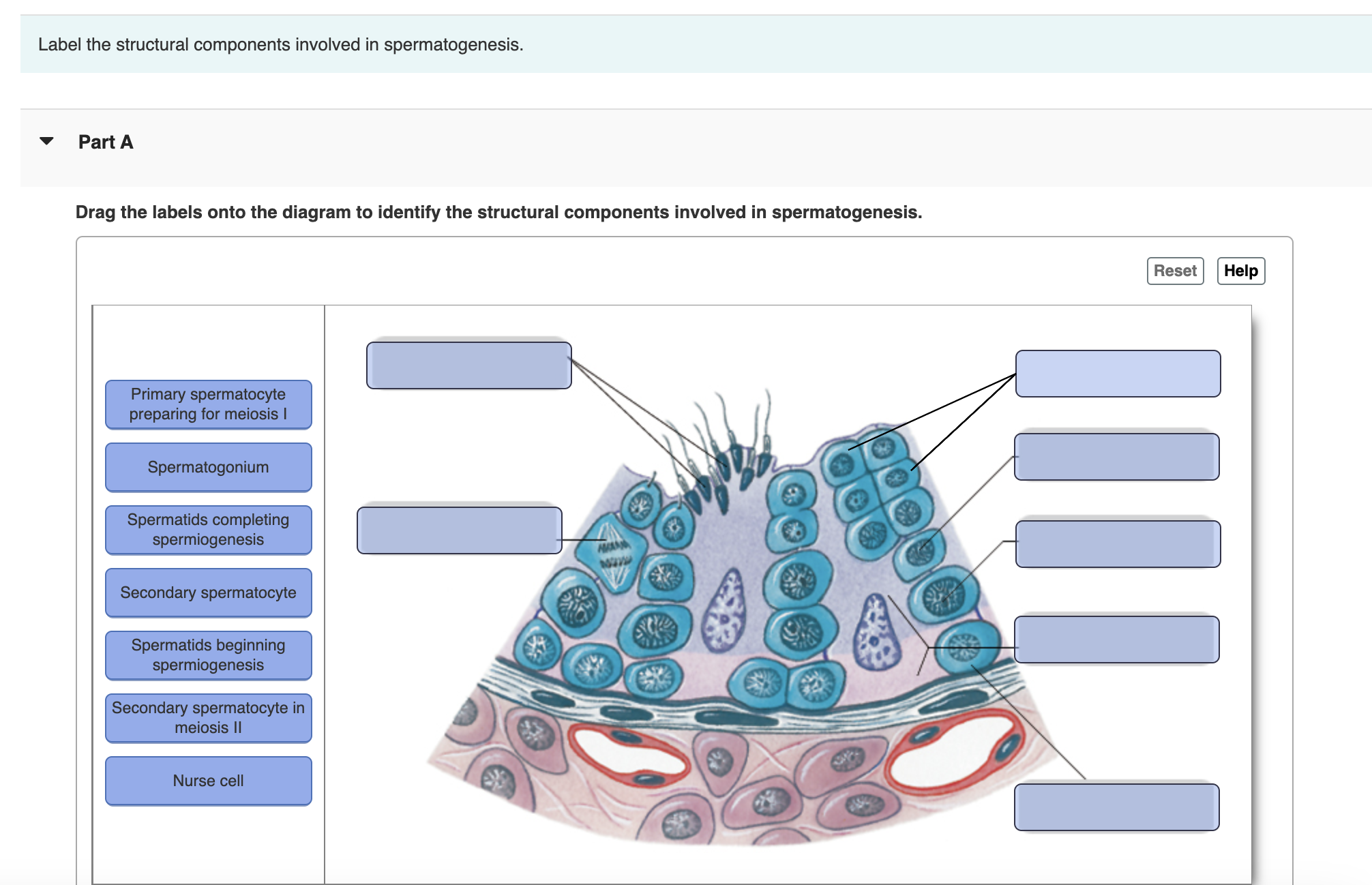 Solved Label the structural components involved in | Chegg.com