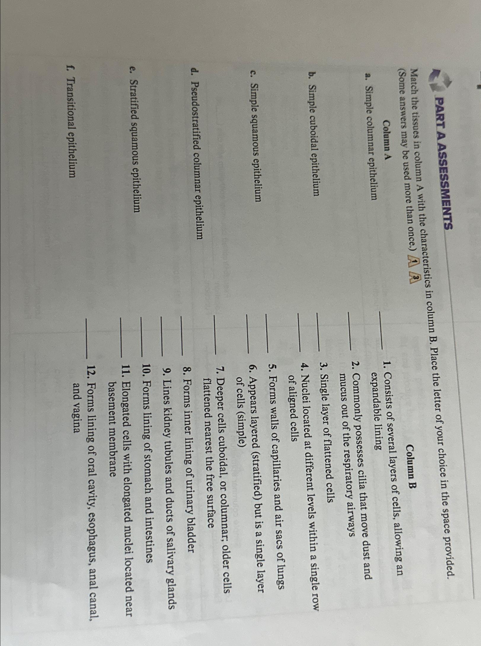 Solved PART A ASSESSMENTSMatch the tissues in column A with | Chegg.com