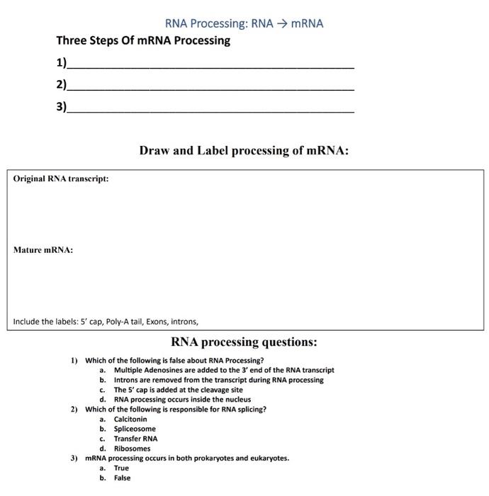 Solved RNA Processing: RNA → mRNA Three Steps Of mRNA | Chegg.com