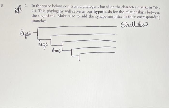 Solved 2. In the space below, construct a phylogeny based | Chegg.com