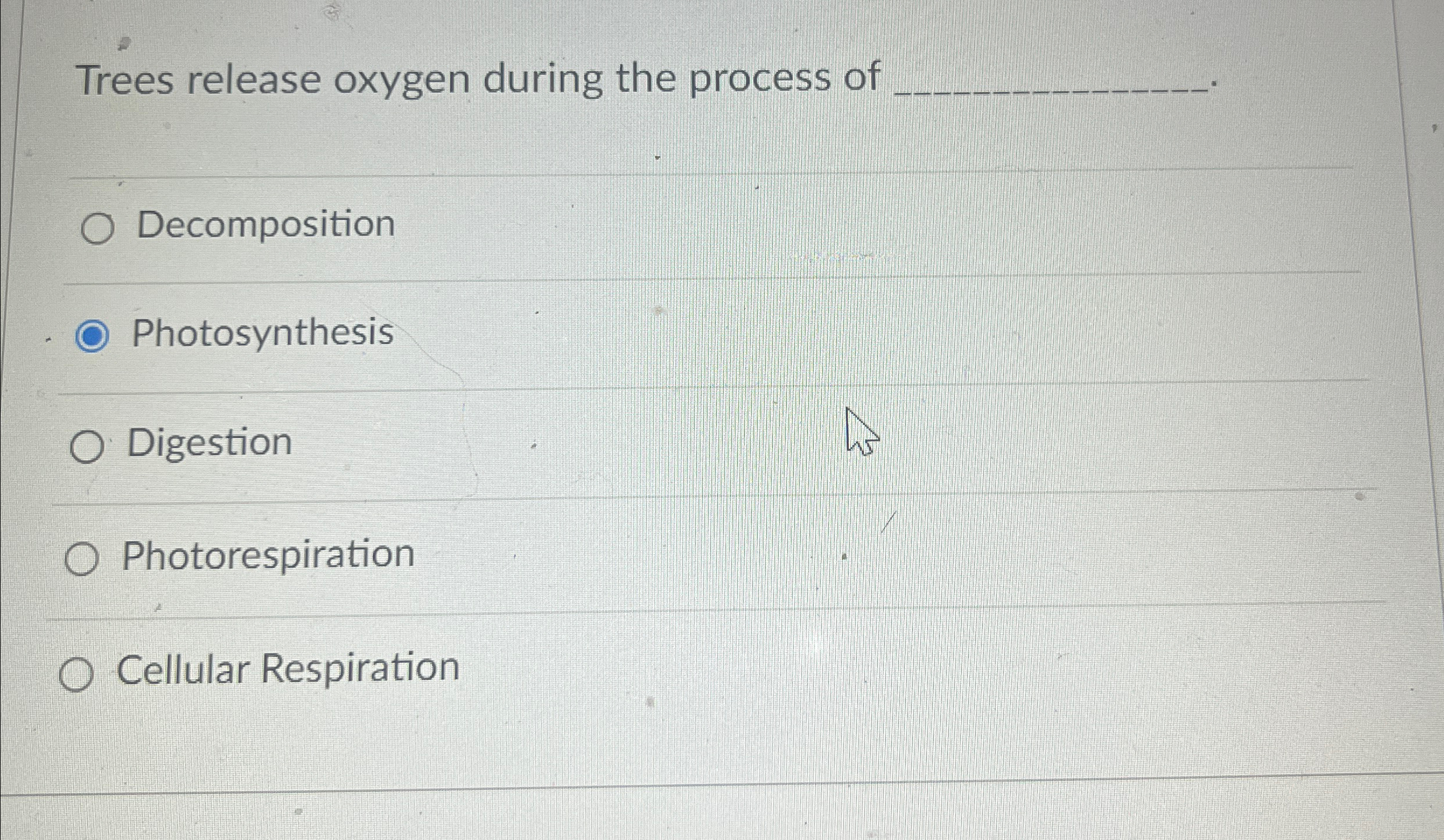 Solved Trees release oxygen during the process | Chegg.com