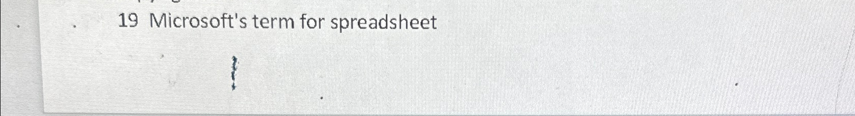 Solved 19 ﻿Microsoft's term for spreadsheet | Chegg.com