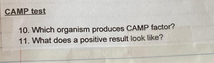 Solved CAMP test 10. Which organism produces CAMP factor? | Chegg.com