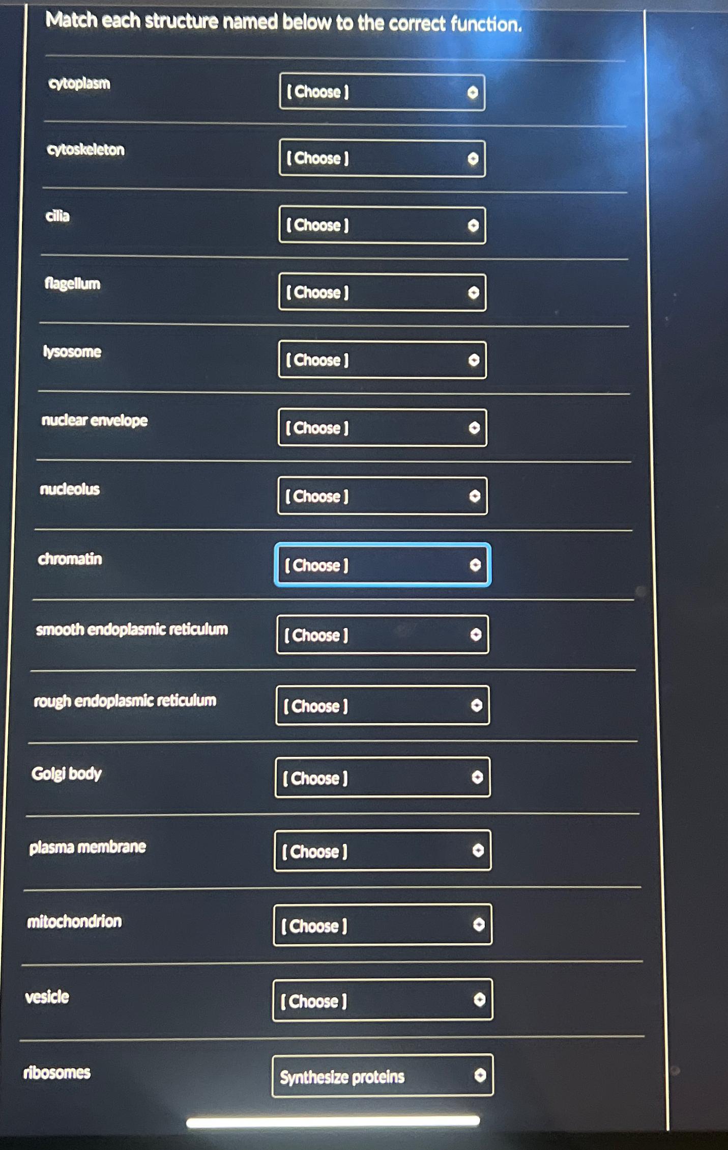 Solved Match each structure named below to the correct | Chegg.com