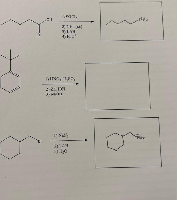 Solved 1) HNO3,H2SO4 2) Zn,HCl 3) NaOH 2) LAH 3) H2O | Chegg.com