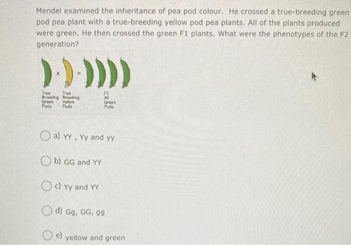 Solved Mendel examined the inheritance of pea pod colour. He | Chegg.com