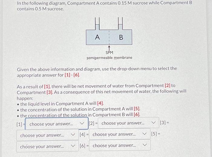 Solved In the following diagram, Compartment A contains | Chegg.com