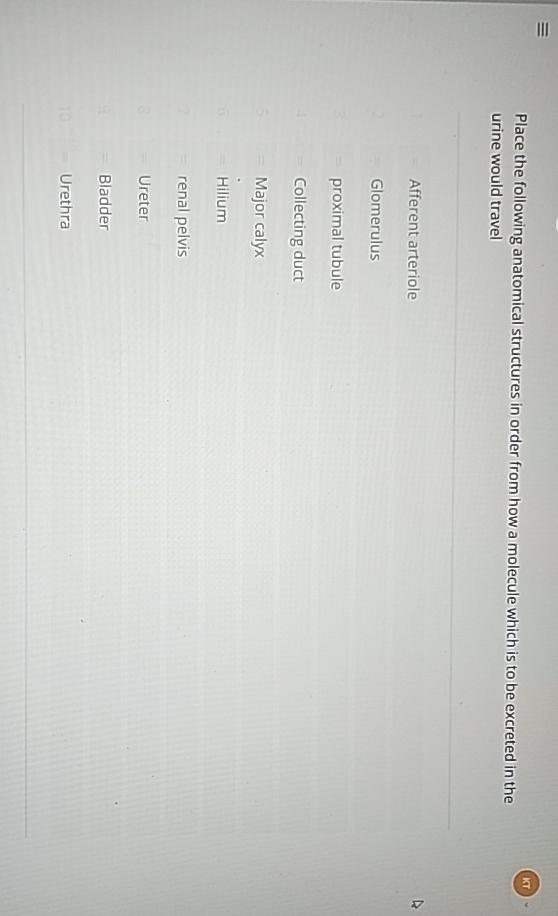 Solved Place the following anatomical structures in order | Chegg.com