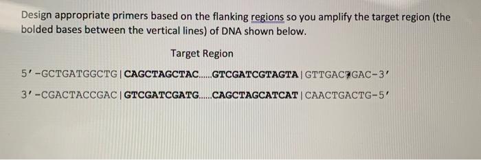 Solved Design appropriate primers based on the flanking | Chegg.com
