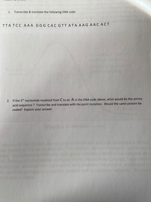 Solved 1. Transcribe & translate the following DNA code: TTA | Chegg.com