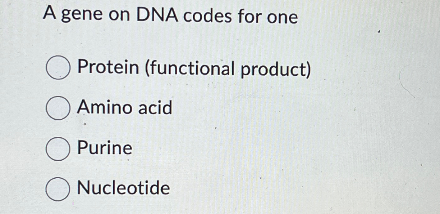 Solved A gene on DNA codes for oneProtein (functional | Chegg.com