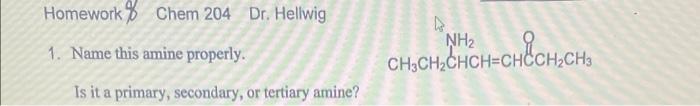 Solved Homework Chem 204 Dr. Hellwig 1. Name this amine | Chegg.com