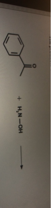 Solved + H,N-OH + HN-OH | Chegg.com