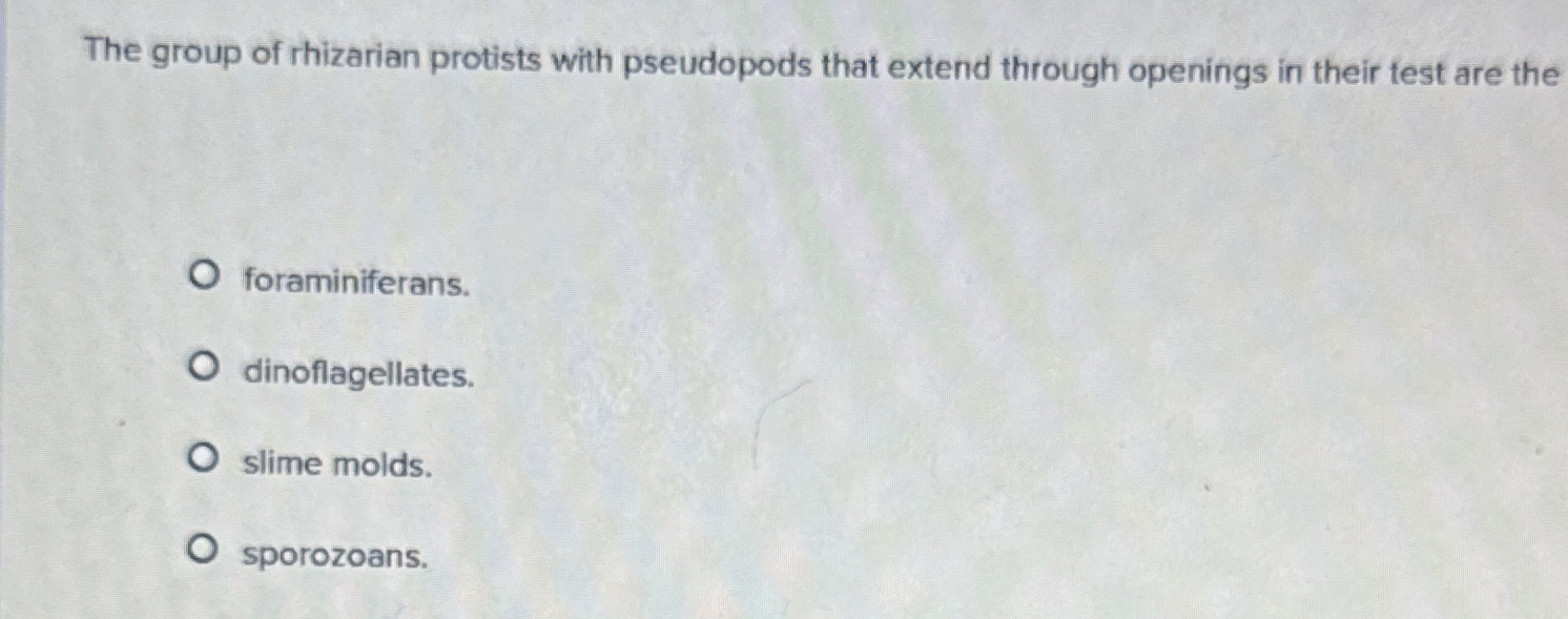Solved The group of rhizarian protists with pseudopods that | Chegg.com