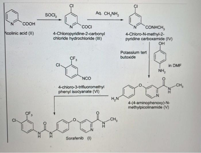 Solved SOCI, Aq. CH,NH, COOH Picolinic acid (1) COCI | Chegg.com