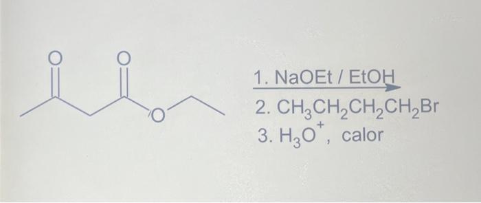 Solved 1. NaOEt/EtOH 2. CH3CH2CH2CH2Br 3. H3O+, calor | Chegg.com