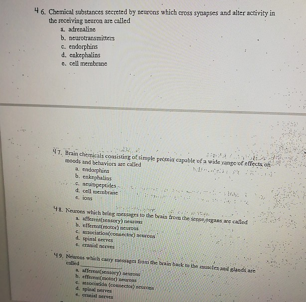 Solved 26. Attributing human thoughts, feelings, or motives | Chegg.com