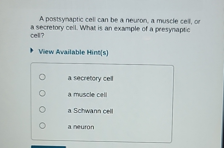 Solved A postsynaptic cell can be a neuron, a muscle cell, | Chegg.com