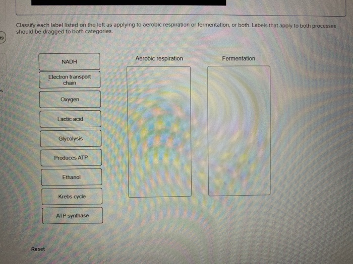Solved Classify each label listed on the left as applying to | Chegg.com