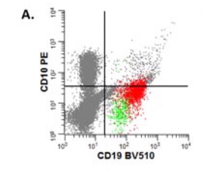 Solved How do I determine positivity and negativity of CD10 | Chegg.com
