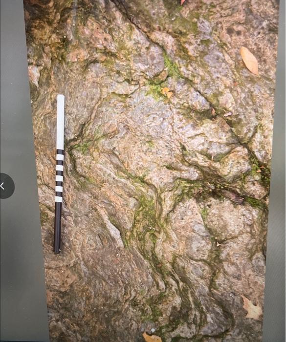 Solved Mount Snow Stop 1 - Albite Quartz Granofels At this | Chegg.com