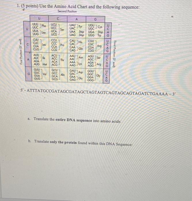 Solved 1. (5 points) Use the Amino Acid Chart and the | Chegg.com