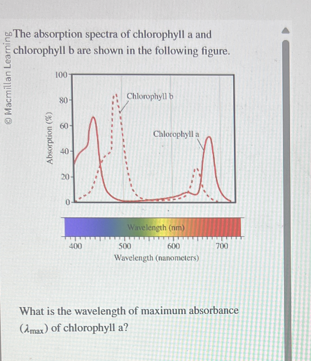 Solved mThe absorption spectra of chlorophyll a and | Chegg.com
