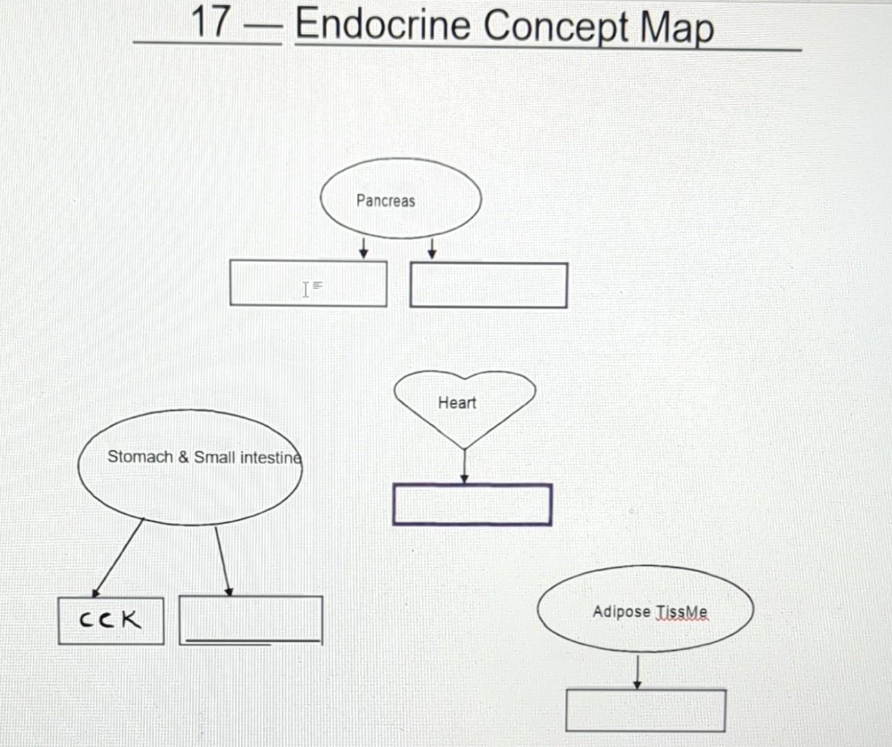 17 - Endocrine Concept Map | Chegg.com