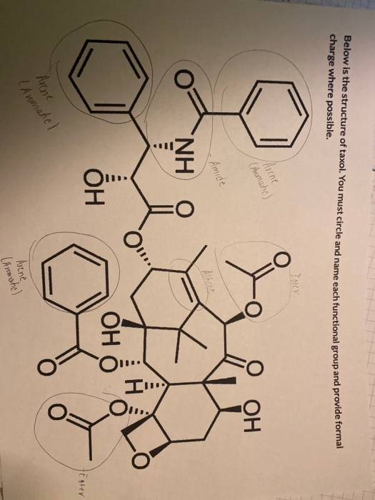 Solved Below is the structure of taxol. You must circle and | Chegg.com