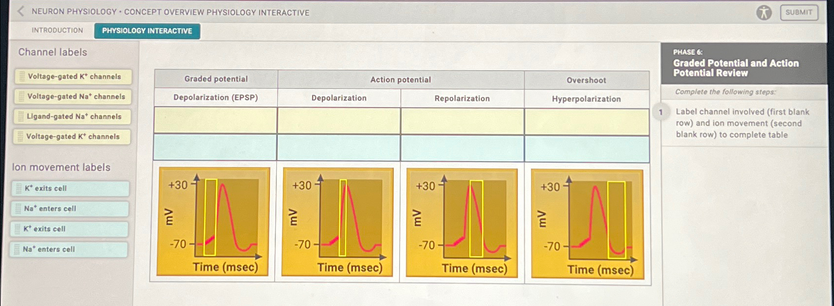 Solved please help quick!!!!NEURON PHYSIOLOGY * ﻿CONCEPT | Chegg.com